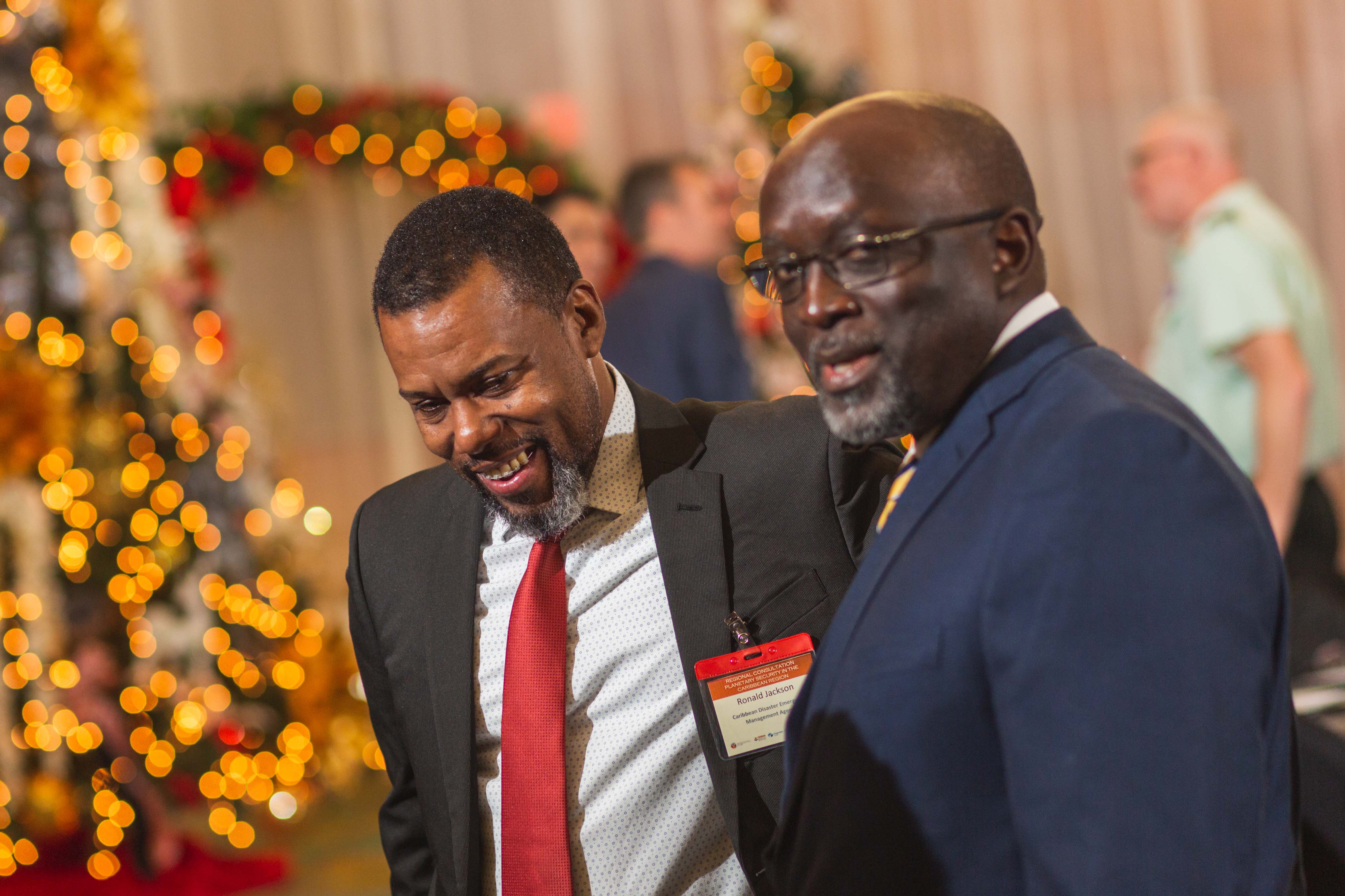 Caribbean Disaster Emergency Management Agency - CDEMA